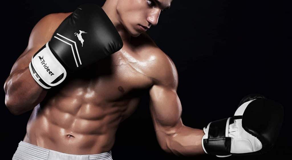 Best Kickboxing Gloves - Gloveszone