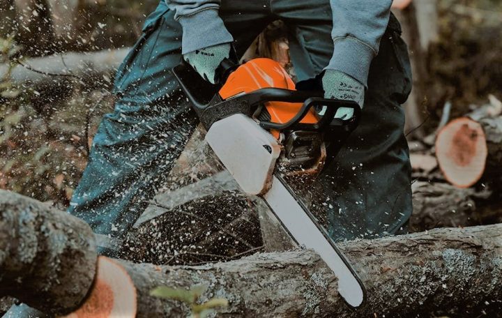 Best Gloves For Tree Work 2026