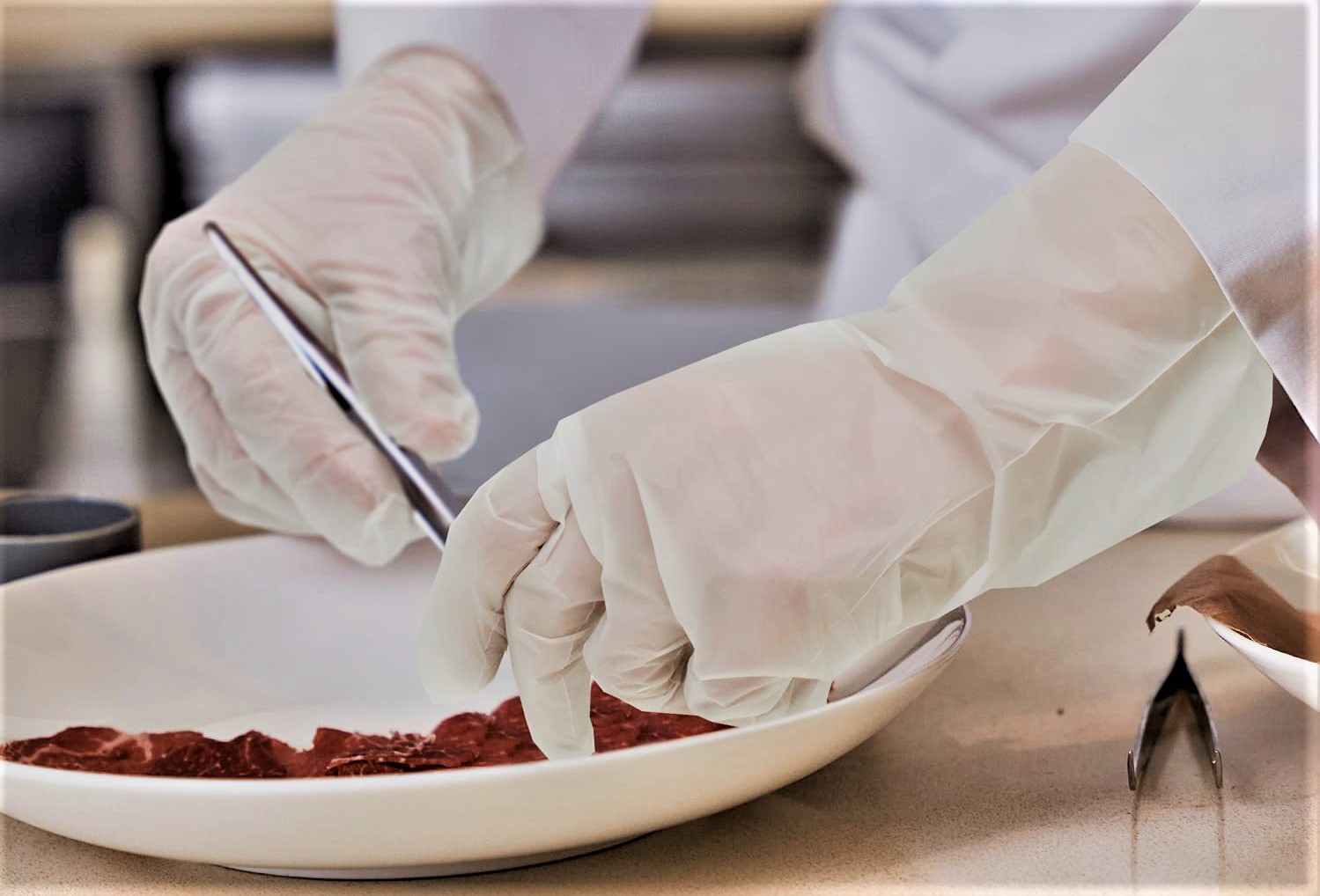 Going Green: The Ultimate Guide to Eco-Friendly Gloves - Gloveszone